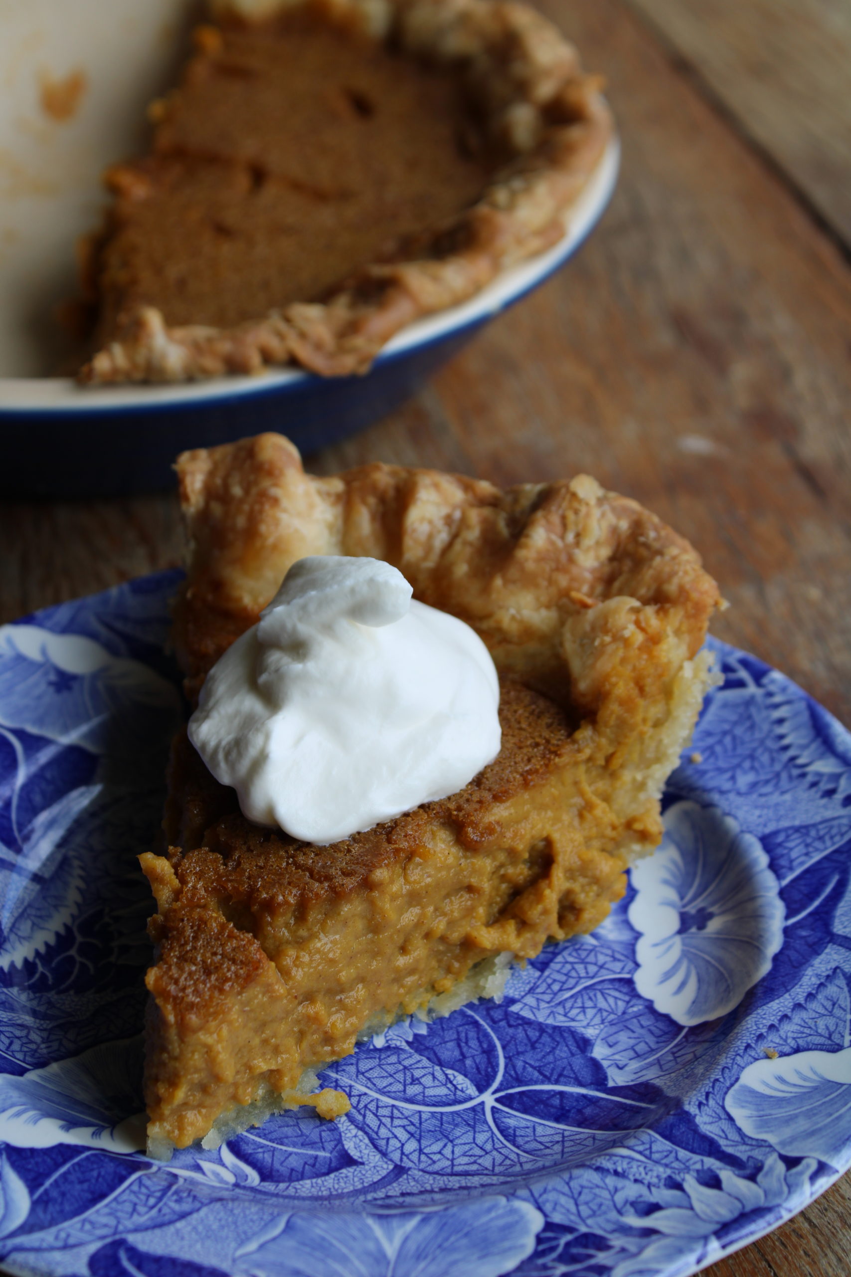 Candy Roaster Pumpkin Pie
